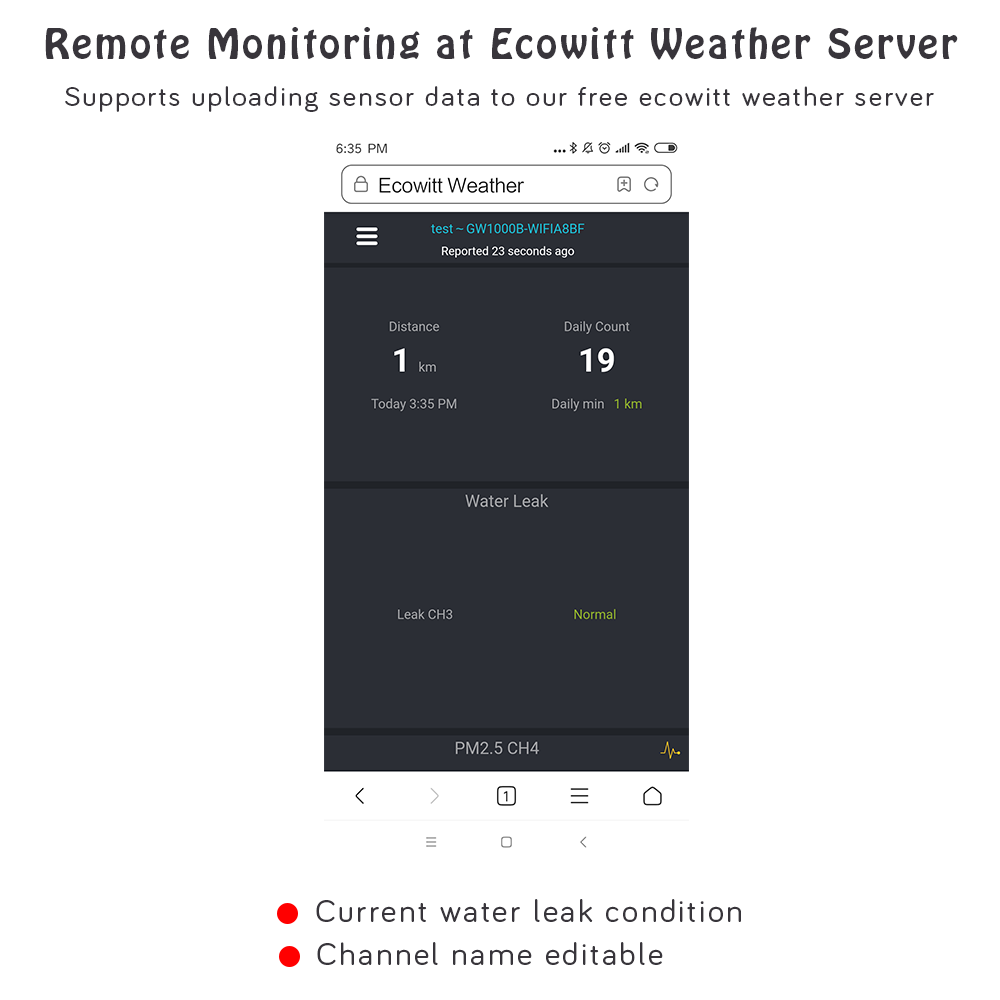 Professional Weather Products | Smart Home Product – Ecowitt