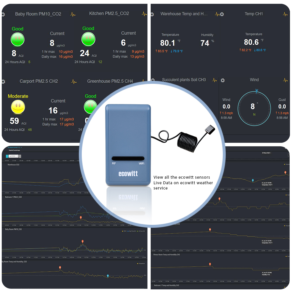 Professional Weather Products | Smart Home Product – Ecowitt