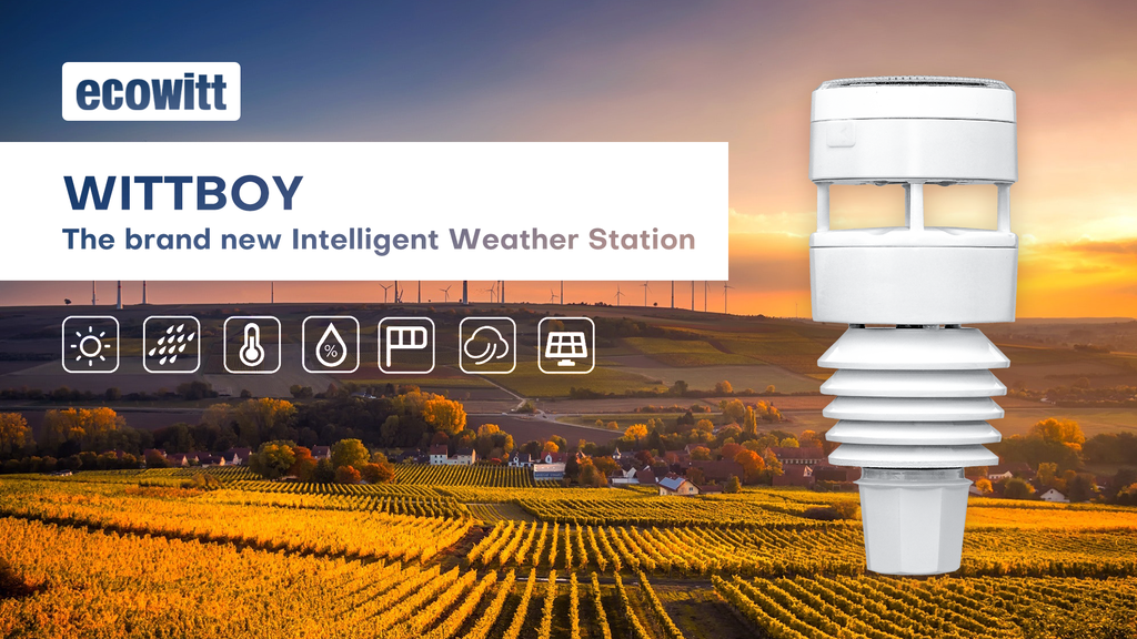Professional Weather Products | Smart Home Product – Ecowitt
